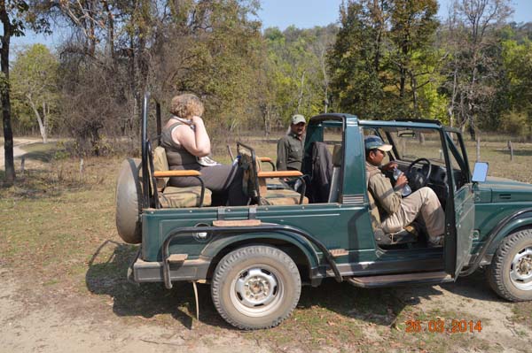 Wildlife Safaris - India Wildlife Holidays